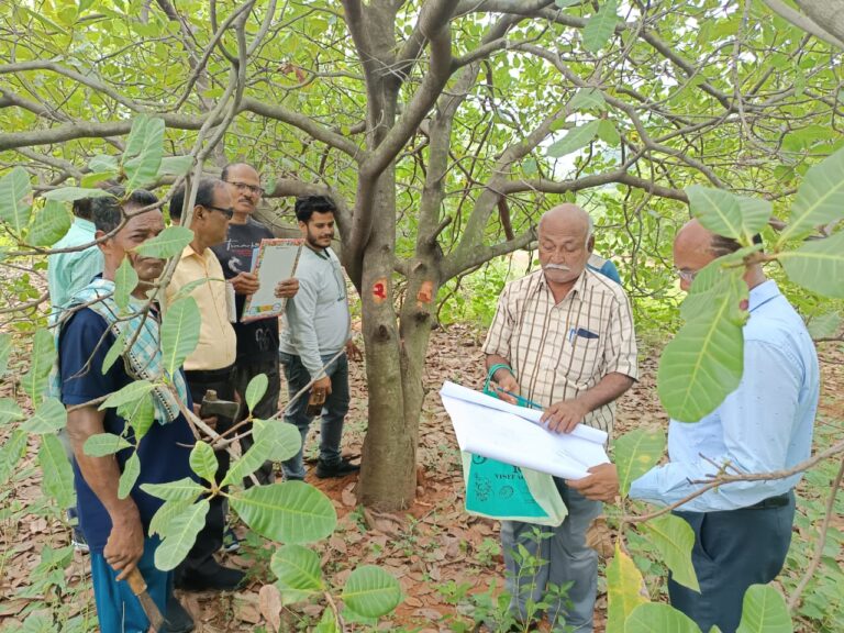 Forest Diversion Proposal – BNB Land Consultancy